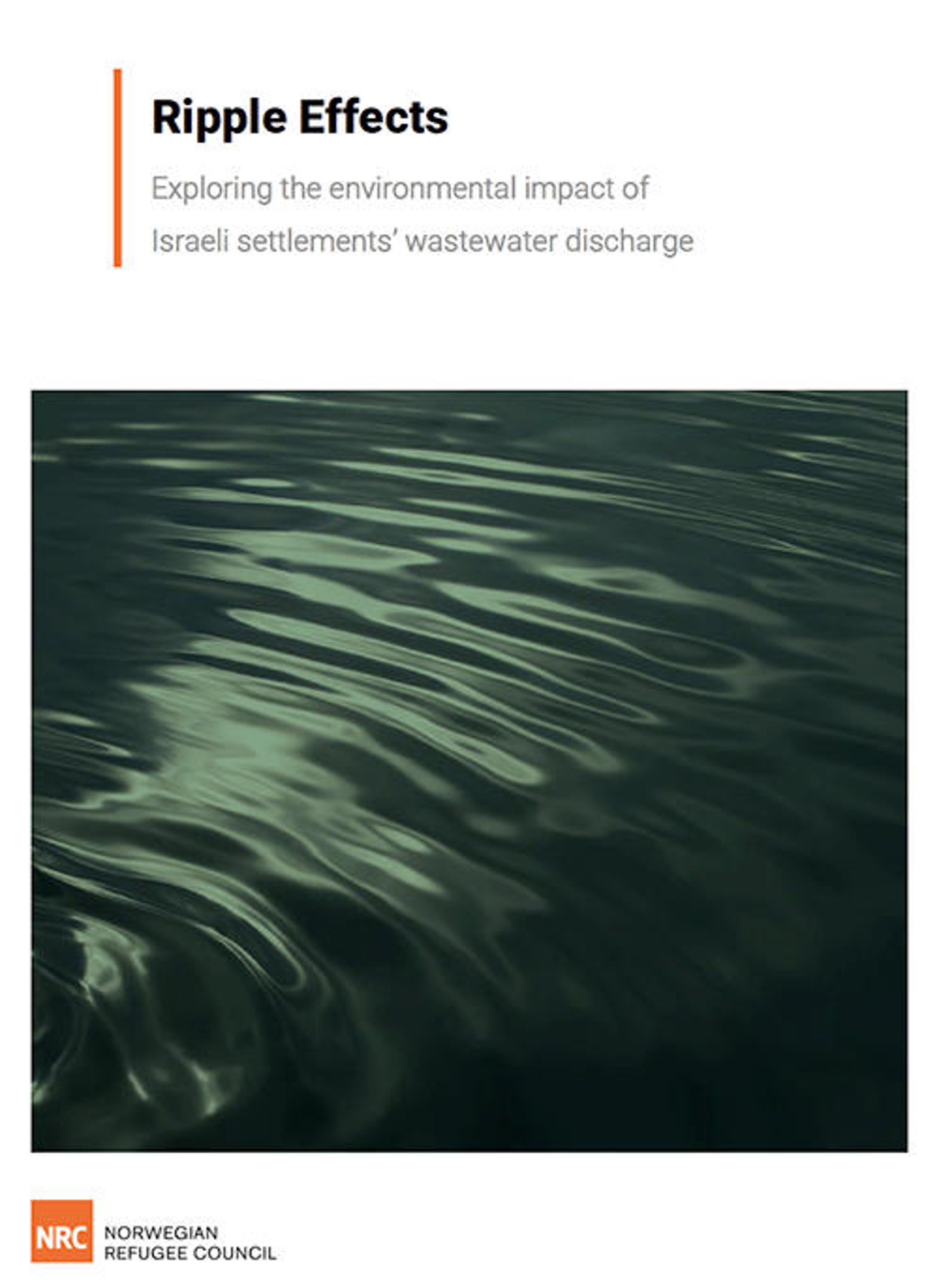 Ripple Effects: Exploring the environmental impact of Israeli ...